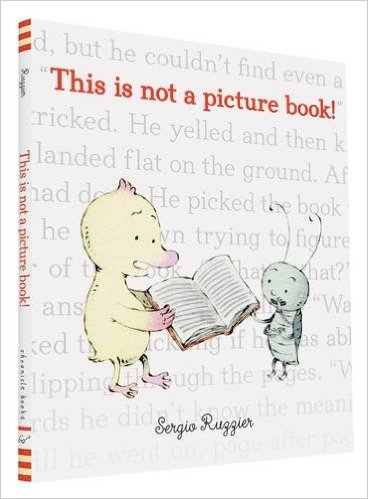 This Is Not a Picture Book! – The Children's Bookroom
